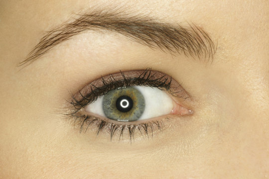 Bindehautsack Bilder – Durchsuchen 1,531 Archivfotos, Vektorgrafiken ...