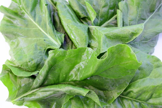 Agrandi 이미지 – 찾아보기 5,698 스톡 사진, 벡터 및 비디오 | Adobe Stock