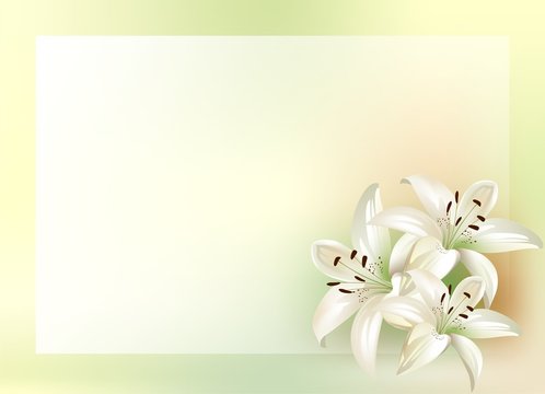 Easter Lily Powerpoint Background