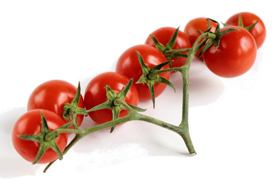 รูปภาพKirschtomate – เลือกดูภาพถ่ายสต็อก เวกเตอร์ และวิดีโอ1,818 ...