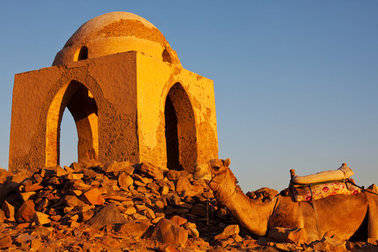 Thomb Images – Browse 188 Stock Photos, Vectors, and Video | Adobe Stock