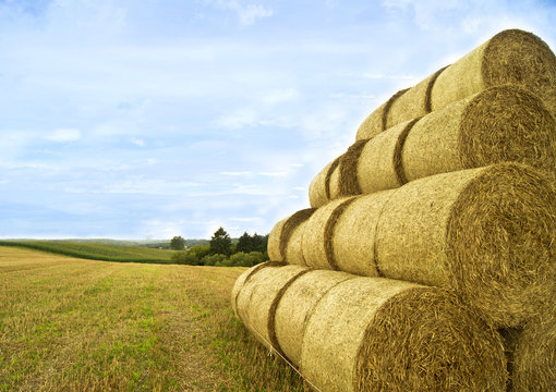 「Heurolle」の画像 - 192 件の Stock 写真、ベクターおよびビデオ | Adobe Stock