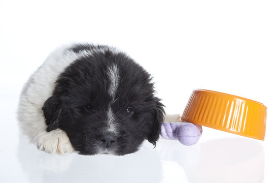 Boudeur Bilder – Durchsuchen 141 Archivfotos, Vektorgrafiken und Videos ...