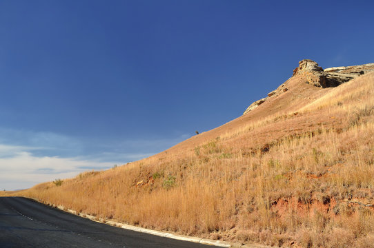 Serpenter Bilder – Durchsuchen 194 Archivfotos, Vektorgrafiken und ...