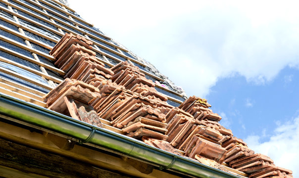 รูปภาพTuilage – เลือกดูภาพถ่ายสต็อก เวกเตอร์ และวิดีโอ11 | Adobe Stock