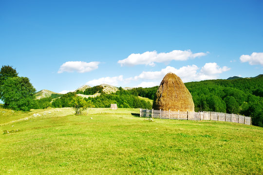 Hay Rick"」の写真素材 | 35件の無料イラスト画像 | Adobe Stock