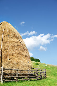 Hay Rick"」の写真素材 | 35件の無料イラスト画像 | Adobe Stock