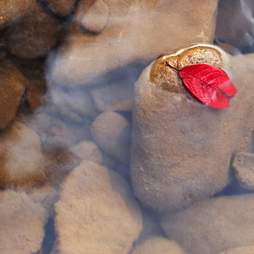 รูปภาพGlon – เลือกดูภาพถ่ายสต็อก เวกเตอร์ และวิดีโอ139 | Adobe Stock