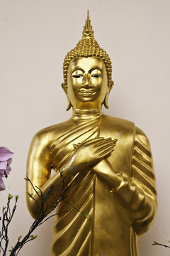 Auguration Bilder – Durchsuchen 95 Archivfotos, Vektorgrafiken und ...