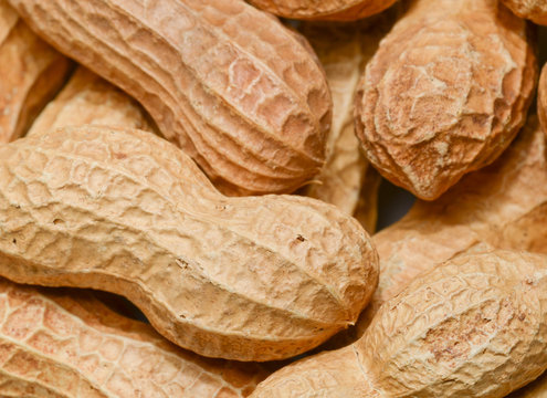 「Bagigi」の写真素材 | 156件の無料イラスト画像 | Adobe Stock