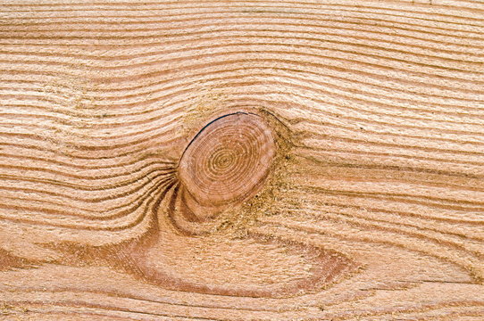 「Astloch」の画像 - 3,600 件の Stock 写真、ベクターおよびビデオ | Adobe Stock