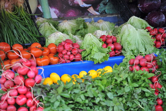 Turp 画像 - 参照 384 Stock 写真、ベクターおよびビデオ | Adobe Stock
