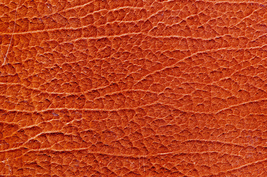 Cigar Paper Texture Зображення — огляд 1,736 Стокові фото, векторні ...