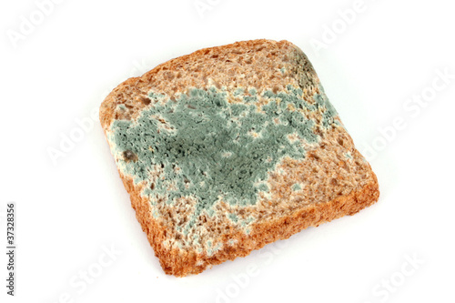 "Verschimmeltes Brot" Stockfotos und lizenzfreie Bilder auf Fotolia.com ...