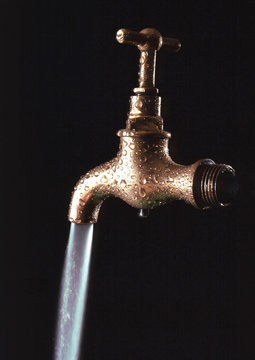 Imagens de Grifo – Explore Fotografias do Stock, Vetores e Vídeos de ...