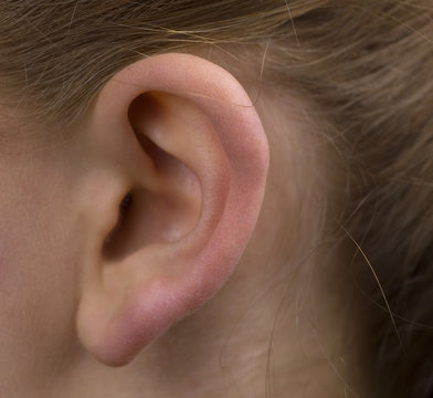 รูปภาพOhr – เลือกดูภาพถ่ายสต็อก เวกเตอร์ และวิดีโอ29,204 | Adobe Stock