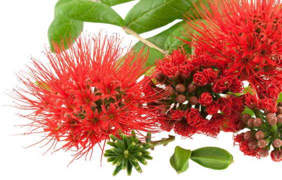 รูปภาพBadamier – เลือกดูภาพถ่ายสต็อก เวกเตอร์ และวิดีโอ101 | Adobe Stock