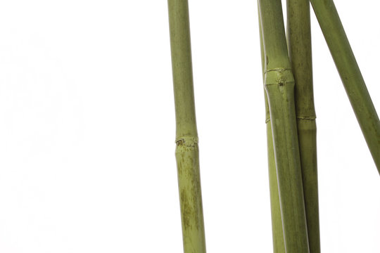 Stangen bilder – Bläddra bland 7,458 stockfoton, vektorer och videor ...