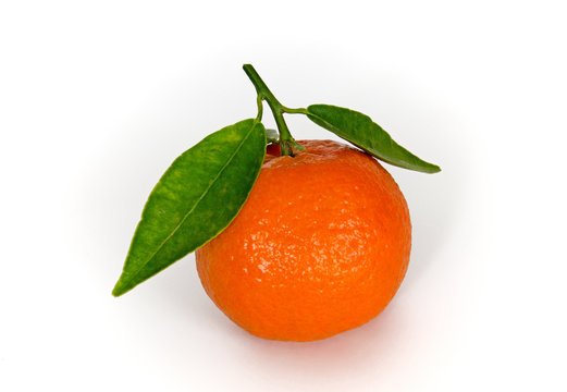 Clementin bilder – Bläddra bland 58,780 stockfoton, vektorer och videor ...