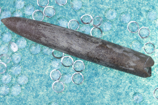 Donnerkeil Images – Browse 67 Stock Photos, Vectors, and Video | Adobe ...