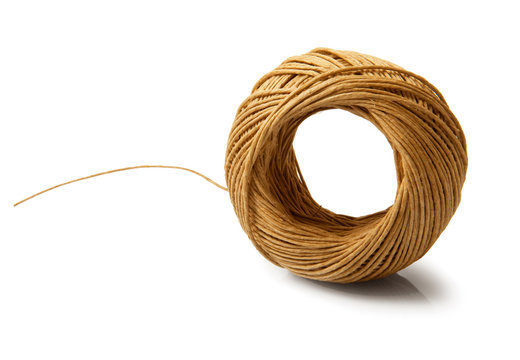 รูปภาพRotulus – เลือกดูภาพถ่ายสต็อก เวกเตอร์ และวิดีโอ1,683 | Adobe Stock