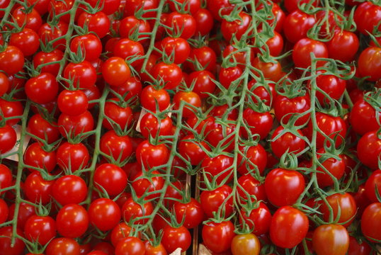 Cocktailtomaten bilder – Bläddra bland 3,005 stockfoton, vektorer och ...