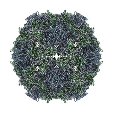 Poliovirus Images – Browse 629 Stock Photos, Vectors, and Video | Adobe ...