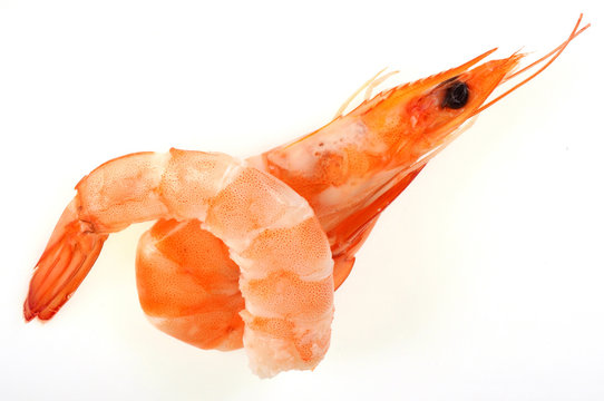 รูปภาพCrevette – เลือกดูภาพถ่ายสต็อก เวกเตอร์ และวิดีโอ1,840,155 ...