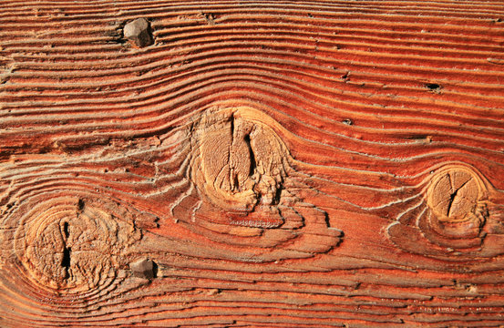 รูปภาพEichenholz – เลือกดูภาพถ่ายสต็อก เวกเตอร์ และวิดีโอ1,415 | Adobe ...