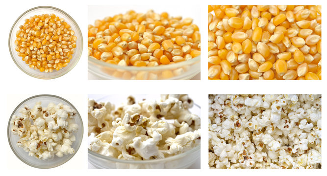 รูปภาพPuffmais – เลือกดูภาพถ่ายสต็อก เวกเตอร์ และวิดีโอ255 | Adobe Stock