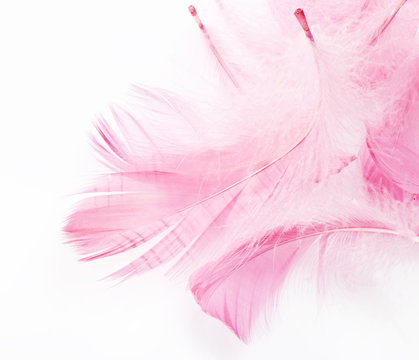 3,271,508 BEST Feathering IMAGES, STOCK PHOTOS & VECTORS | Adobe Stock