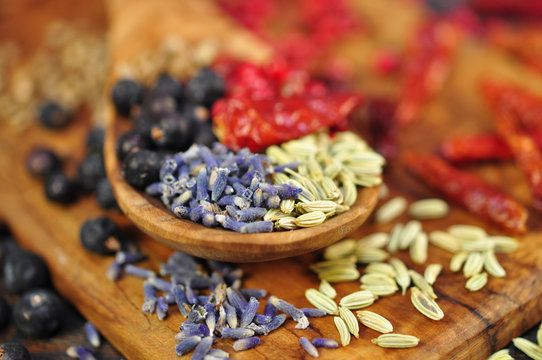 Abschmecken Bilder – Durchsuchen 1,858 Archivfotos, Vektorgrafiken und ...