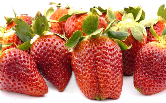 รูปภาพFragaria – เลือกดูภาพถ่ายสต็อก เวกเตอร์ และวิดีโอ48,325 | Adobe Stock