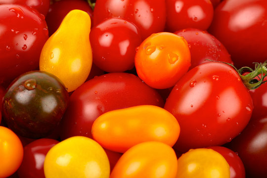 รูปภาพKirschtomate – เลือกดูภาพถ่ายสต็อก เวกเตอร์ และวิดีโอ1,818 ...