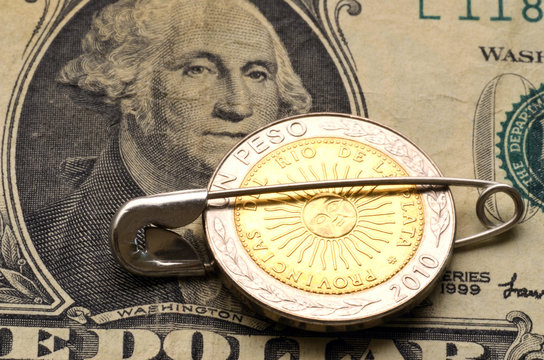 Gacilla Images – Browse 5 Stock Photos, Vectors, and Video | Adobe Stock