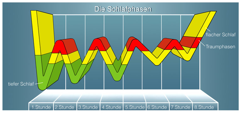 Schlafphasen Bilder – Durchsuchen 3,842 Archivfotos, Vektorgrafiken und ...