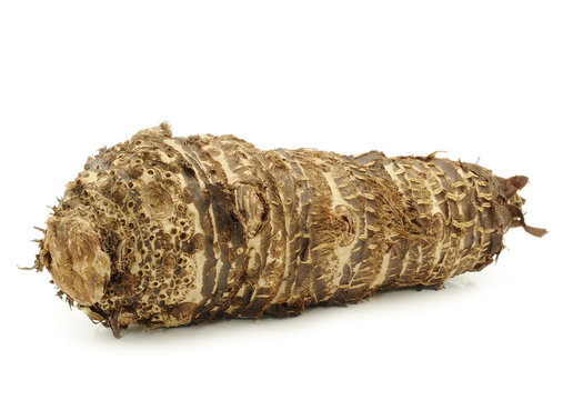 "Taro Corm" Bilder – Durchsuchen 213 Archivfotos, Vektorgrafiken und ...