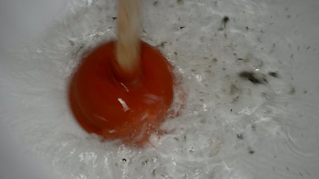 Pumpel Images – Browse 5 Stock Photos, Vectors, and Video | Adobe Stock