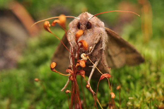 Transversa Images – Browse 48 Stock Photos, Vectors, and Video | Adobe ...