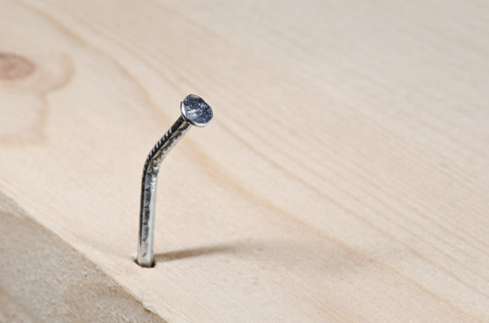 "Krummer Images – Browse 113 Stock Photos, Vectors, and Video | Adobe Stock