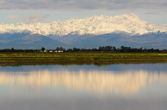 Risaie Images – Browse 958 Stock Photos, Vectors, and Video | Adobe Stock