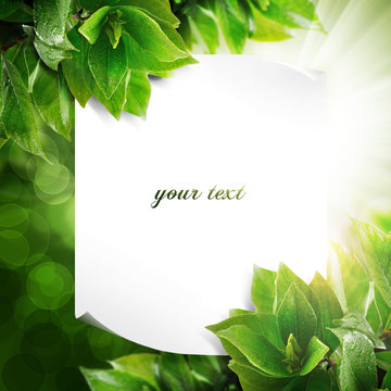 Green Template Images – Browse 3,071,611 Stock Photos, Vectors, and ...