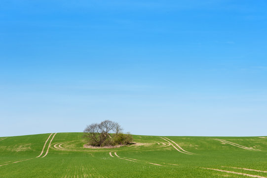 Marg bilder – Bläddra bland 43,766 stockfoton, vektorer och videor ...