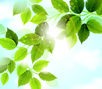 artant photos, images, assets | Adobe Stock