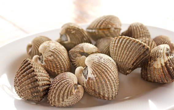 รูปภาพCockles – เลือกดูภาพถ่ายสต็อก เวกเตอร์ และวิดีโอ45,150 | Adobe Stock