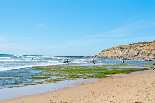 Ostentar Images – Browse 54 Stock Photos, Vectors, and Video | Adobe Stock