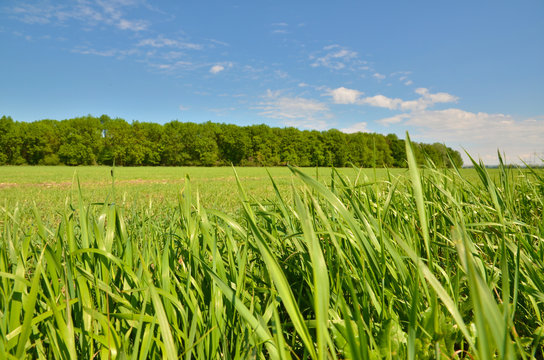รูปภาพCloun – เลือกดูภาพถ่ายสต็อก เวกเตอร์ และวิดีโอ192 | Adobe Stock