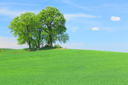 รูปภาพHectare – เลือกดูภาพถ่ายสต็อก เวกเตอร์ และวิดีโอ48,570 | Adobe Stock
