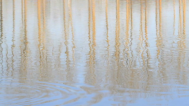 "Reflejos En El Agua" Images – Browse 257 Stock Photos, Vectors, and ...