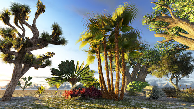 Ravenale Images – Parcourir 1,821 le catalogue de photos, vecteurs et ...